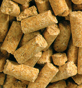 pellets-cockatoos – Cockatoo Info